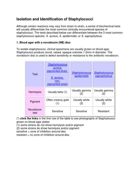 Isolation And Identification Of Staphylococci Pdf Staphylococcus Biology