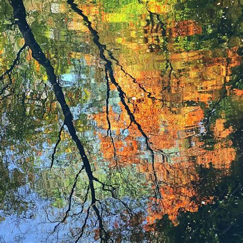 Reflections In Water Bodies Capturing Mirrored Images In Lakes Ponds