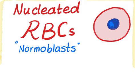 Nucleated Red Blood Cells