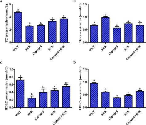 Effects On Lipid Metabolism In Rats The Levels Of A TC B TG C Download Scientific
