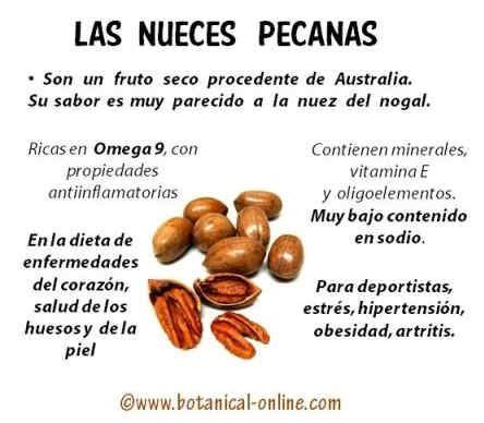 Propiedades De Las Nueces Pecanas Nutricional Beneficios De