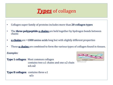 Ppt Collagen Powerpoint Presentation Free Download Id2142260
