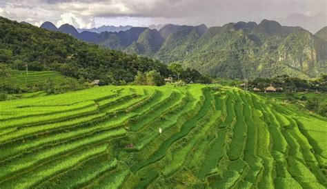 Pu Luong Rice Terraces True Nature Beauty In Vietnam Izitour