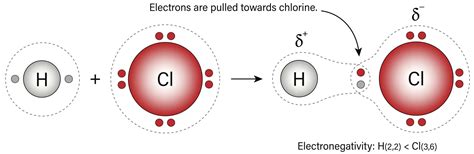 Example Of Polar Covalent Bond