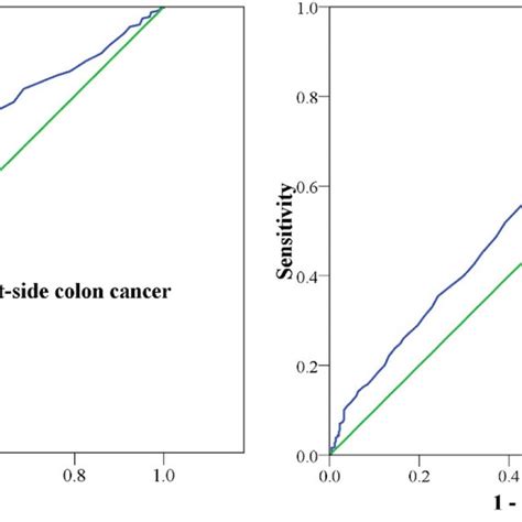 The Time Dependent Receiver Operating Characteristic Roc Curve Of The