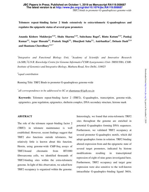 Pdf Telomere Repeatbinding Factor 2 Binds Extensively To Extra