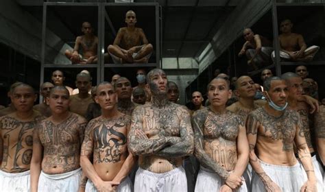 Top Ms 13 Leader Arrested In Virginia Trump Administration Reveals