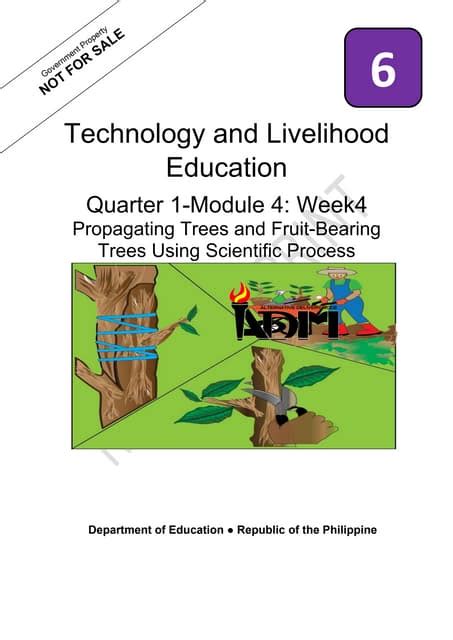 Tle 6 Agriculture Powerpoint Presentation Pptx