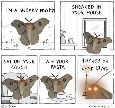 20 Moth Memes Ideas Moth Memes Funny Memes
