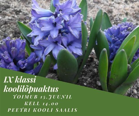 Ix Klassi Koolilõpuaktus