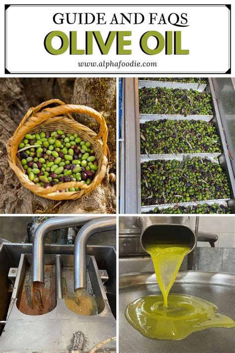 How Is Olive Oil Made Extra Virgin Olive Oil Guide Faqs