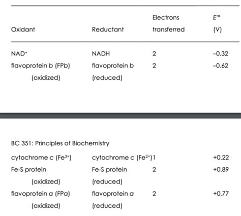 Biochem Exam 2 Flashcards Quizlet