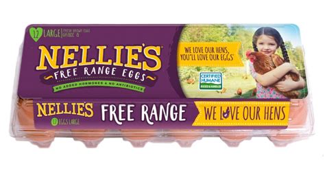 Nellies Nellies Free Range Grade A Large Eggs 12 Ct Shipt