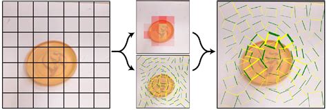 Real Time Grasp Detection Using Convolutional Neural Networks