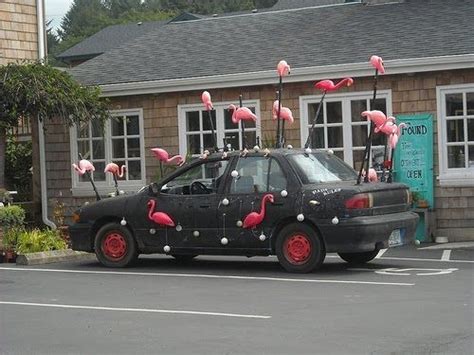 Ive Always Thought It Would Be Great To Cover A Car In Pink Flamingos