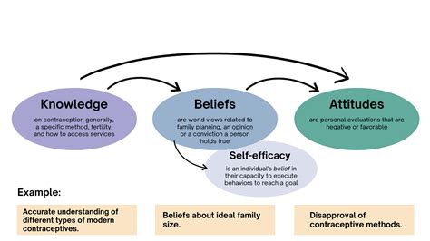 Knowledge Beliefs Attitudes And Self Efficacy Hips