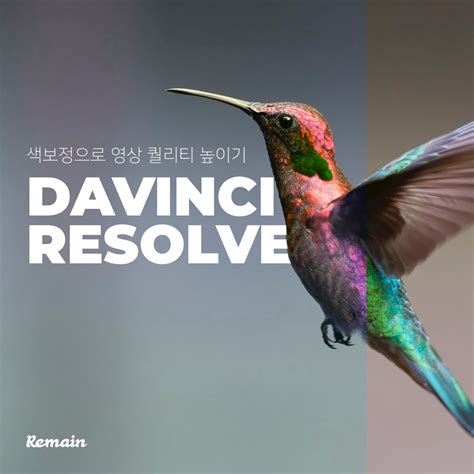 Remain 영상을 위한 보정기술 다빈치리졸브 더 알아보기