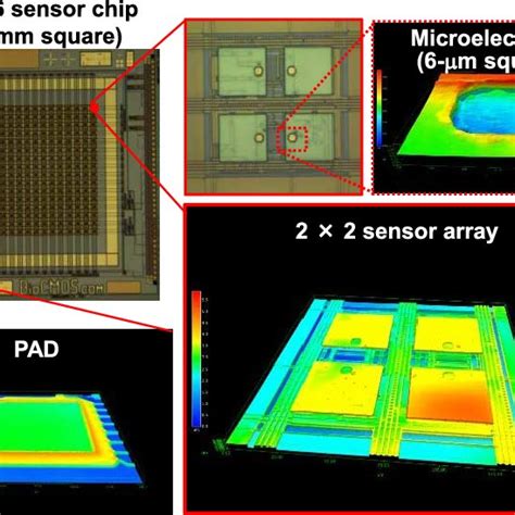 Circuit Structure Of The Microelectrode Array Download Scientific