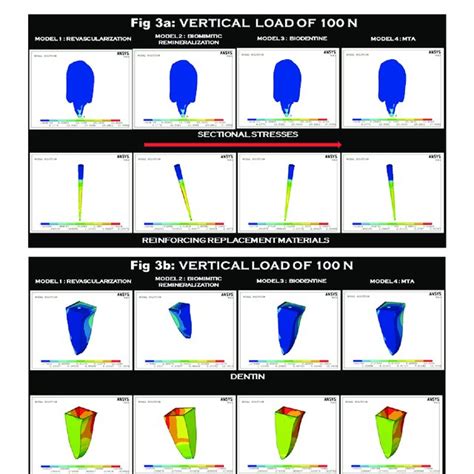 Stress Pattern Under Vertical Loading Of 100n Download Scientific Diagram
