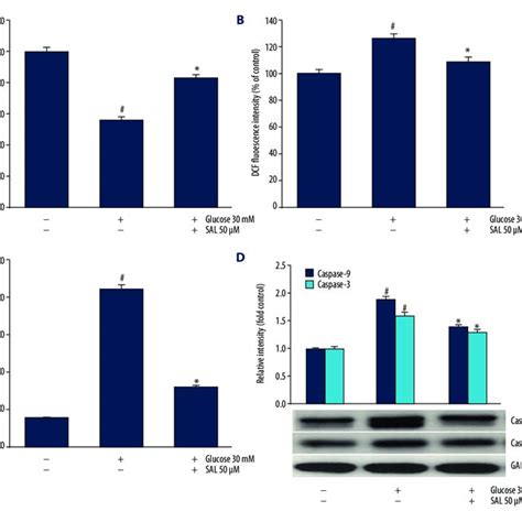 Cell Viability Apoptosis Ros Production And Expression Of