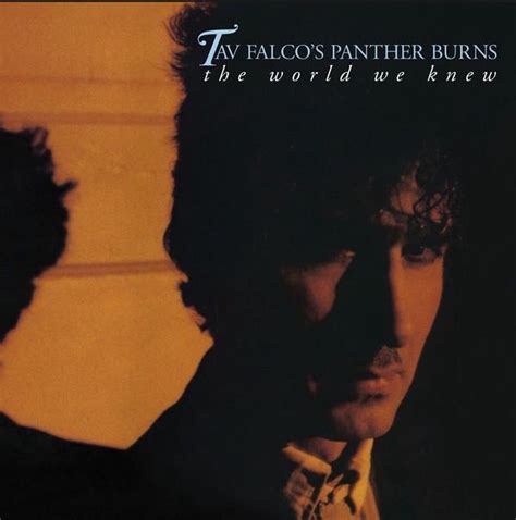 Tav Falco And Panther Burns The World We Knew Cd Tav Falcos Panther