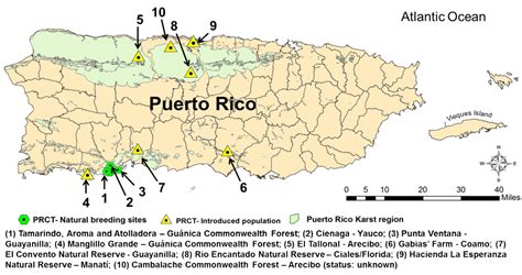Distribution And Habitat Puerto Rican Crested Toad Conservancy