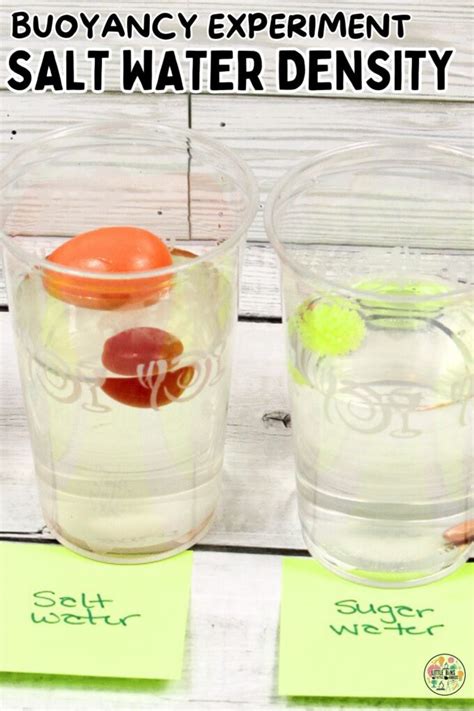 Dissolving Salt In Water Experiment Does It Dissolve Experiment