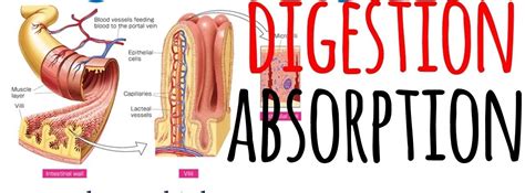 To Print The Story Please Do So Via The Link In The Story Toolbar