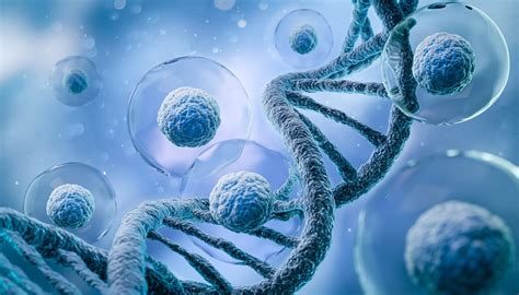 Stem Cell Iv Therapy A Breakthrough In Anti Aging And Wellness