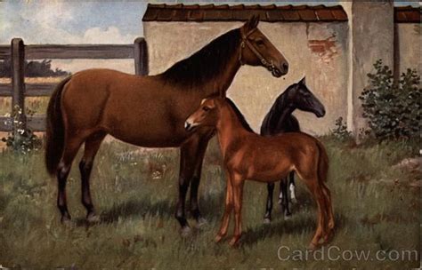 Horse And Its Two Colts Horses
