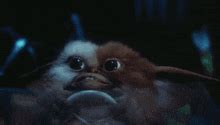 Gizmo From Gremlins Driving