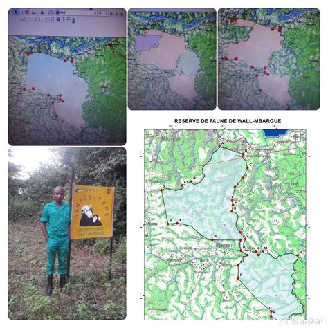 From Ecoguard To Wildlife Cartographer How I Grew Esri Community
