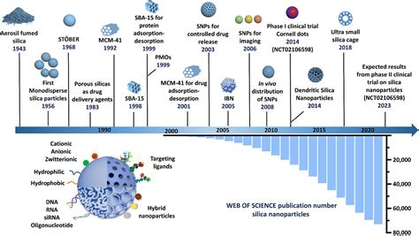 Silica Nanoparticles A Review Of Their Safety And Current Strategies To Overcome Biological