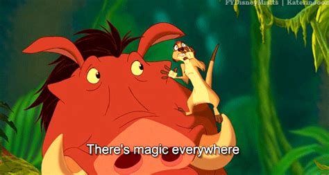 Timon And Pumbaa Quotes Quotesgram