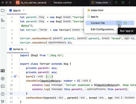 运行和调试 Typescript Webstorm 文档