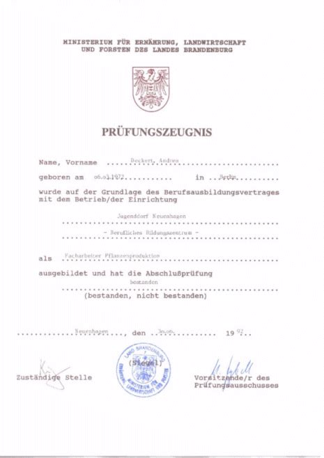 Zeugnis