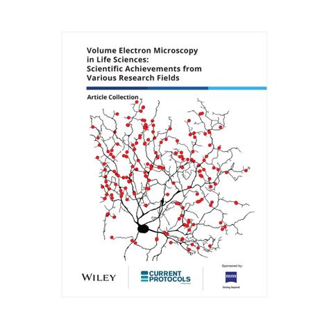 Research Microscopy Solutions Usa Zeiss Microscopy