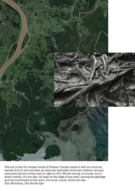 Karlina Mitchell