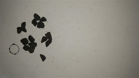 How To Avoid Contours Being Reduced Closed Opencv Qanda Forum