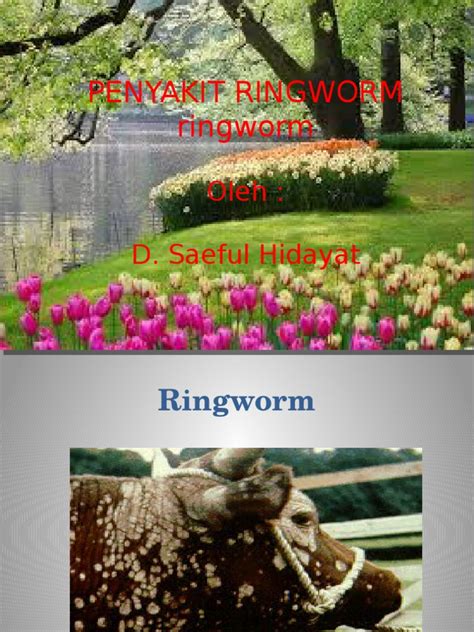 Jamur Ringworm Pada Sapi Pdf