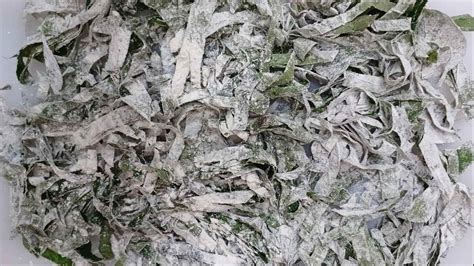 고구마 잎 맛있게 먹는 방법3가지 Youtube