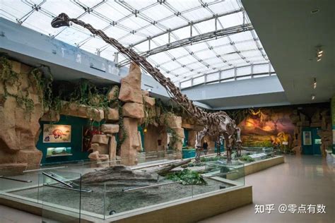零点有数：云端智慧传播模式——国家博物馆 知乎