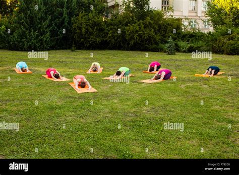 The Group Of Yoga Lovers Stock Photo Alamy
