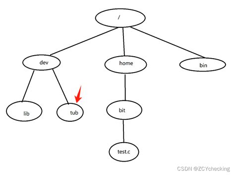 Linux下的基本指令（1） Csdn博客