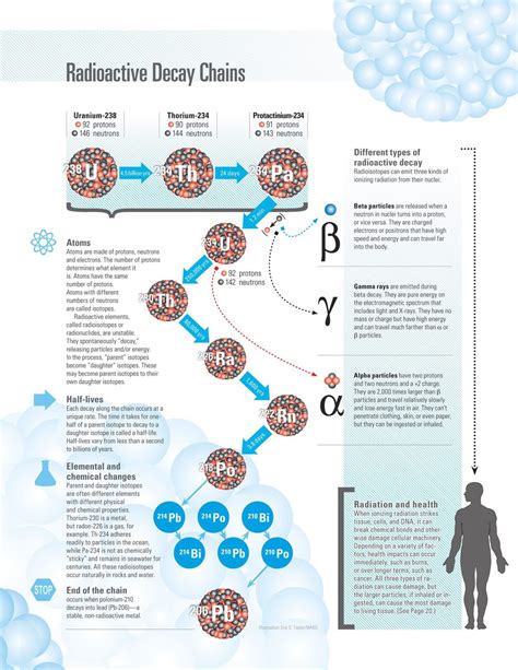 Infographic Depicting Radioactive Decay Chains Woods Hole