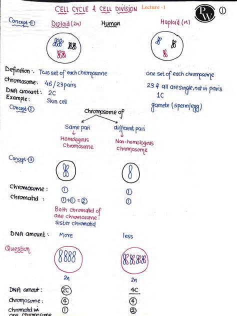 Cell Cycle And Cell Division Handwritten Notes 01 Yakeen Pdf