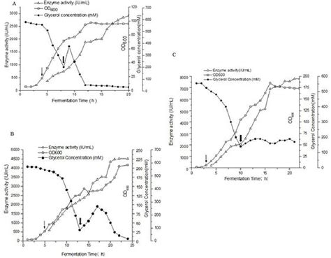 Figure 1 From High Cell Density Cultivation Of A Recombinant Bacillus