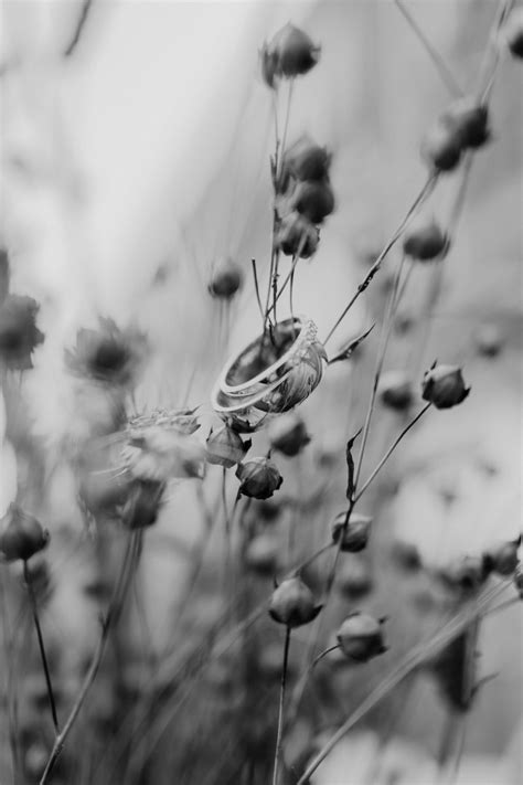 Daisy Tuinder Op Linkedin Schiet Je Veel Bruiloften Ik Vind Het Fijn Om Iemand Met Een Mooie