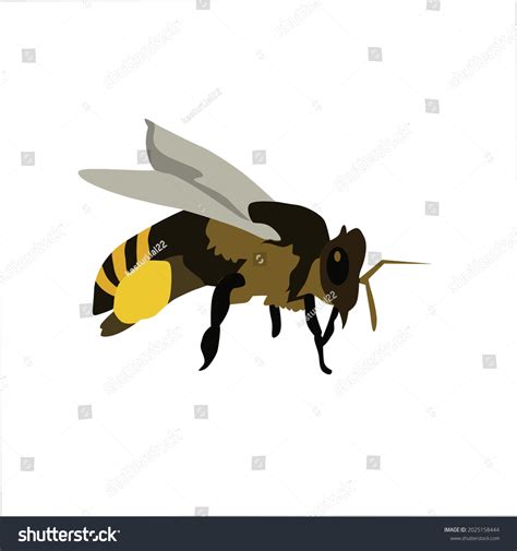 Honey Bee Color Clipart Vector Illustration Stock Vector Royalty Free