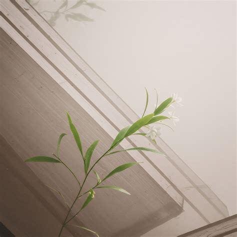 Space And Place Conditions → Area